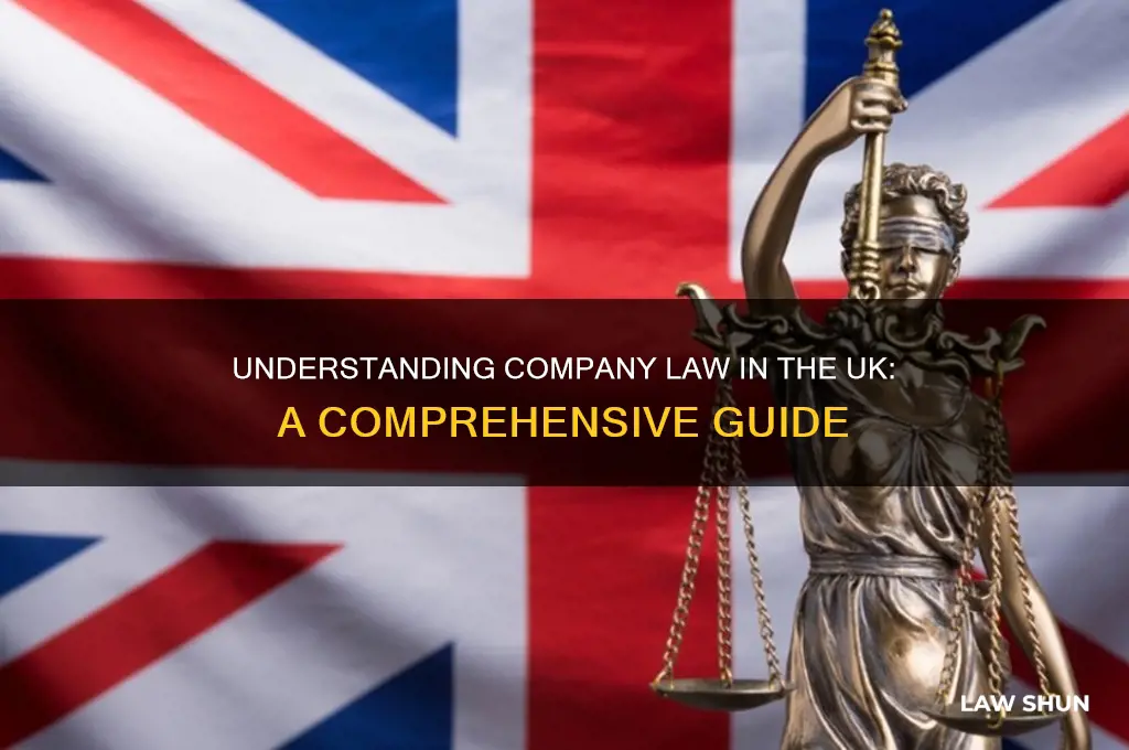 Understanding Company Law In The Uk: A Comprehensive Guide | LawShun