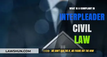 Understanding Civil Actions: Legal Basics And Key Concepts Explained ...