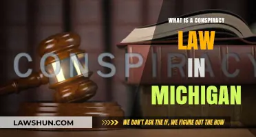 Unusual Michigan Laws: Strange Rules You Won't Believe Exist | LawShun