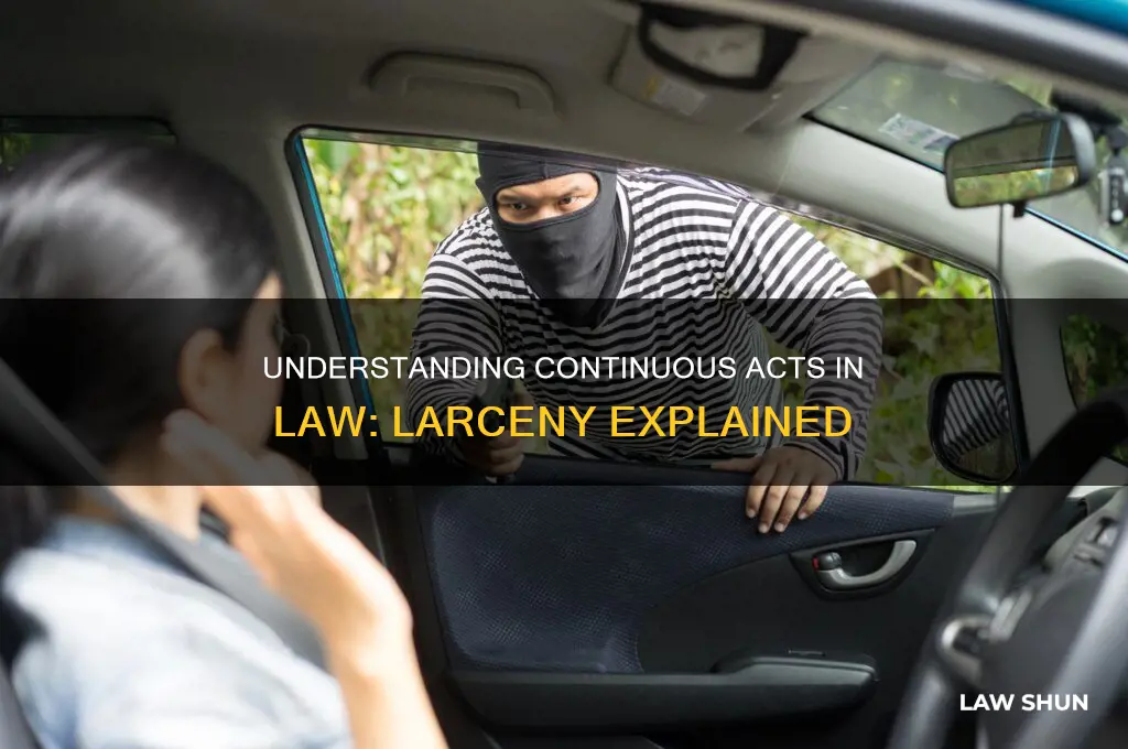 Understanding Continuous Acts In Law: Larceny Explained | LawShun