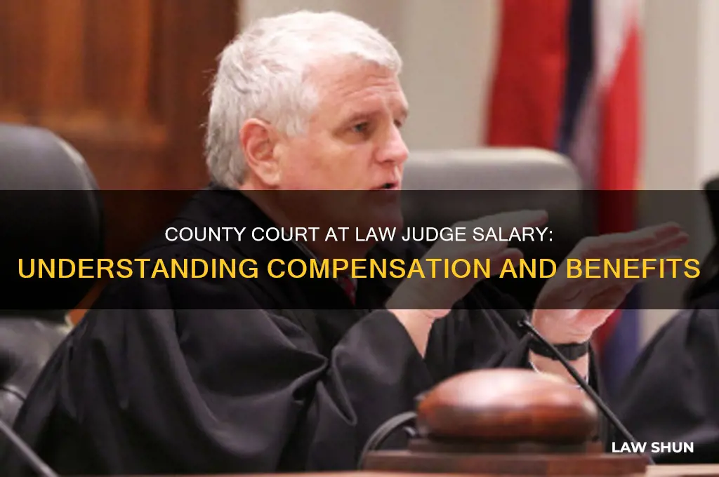 County Court At Law Judge Salary: Understanding Compensation And ...
