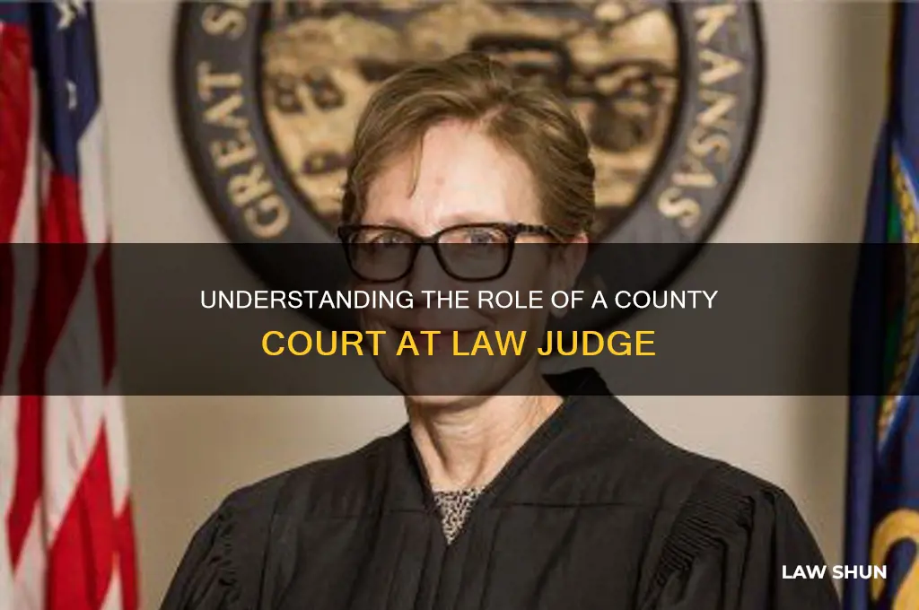 Understanding The Role Of A County Court At Law Judge | LawShun