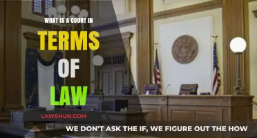 Understanding The Role Of A Judge In Court Proceedings | LawShun