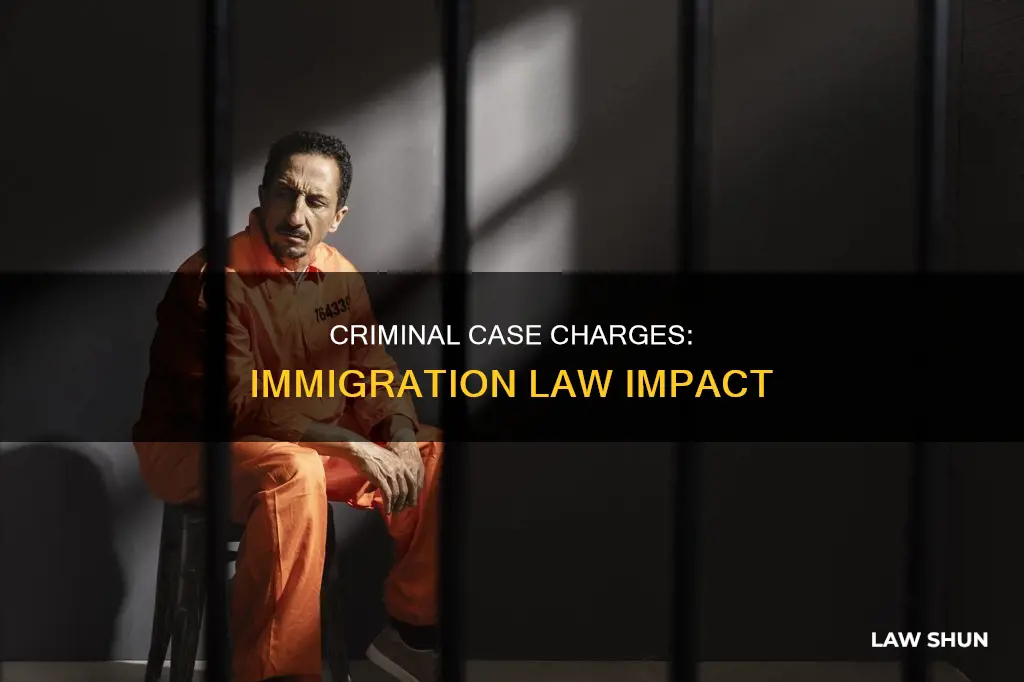 Criminal Case Charges: Immigration Law Impact | LawShun