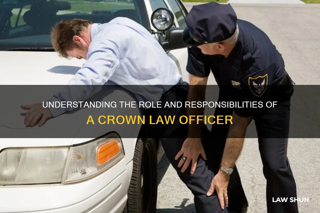 Understanding The Role And Responsibilities Of A Crown Law Officer ...