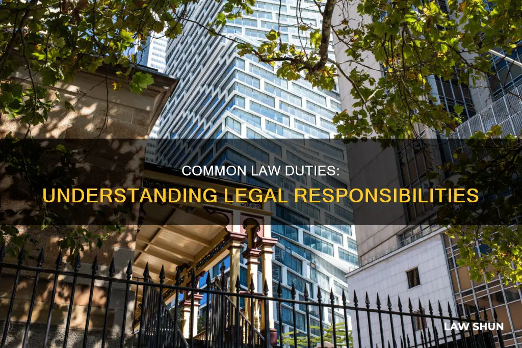 Common Law Duties: Understanding Legal Responsibilities | LawShun