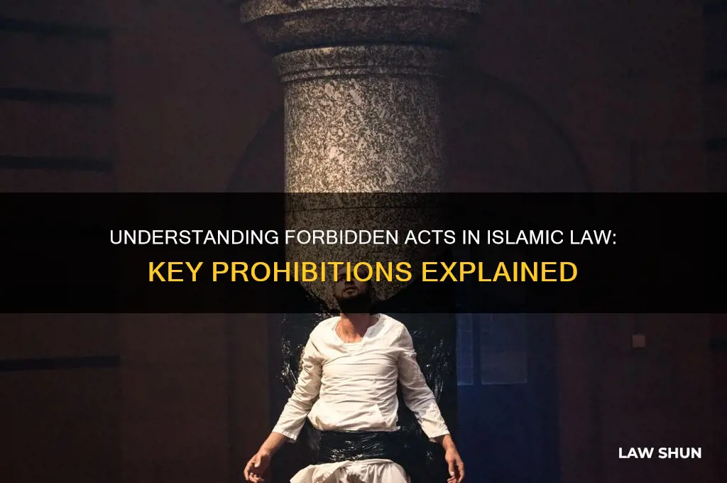 Understanding Forbidden Acts In Islamic Law: Key Prohibitions Explained ...
