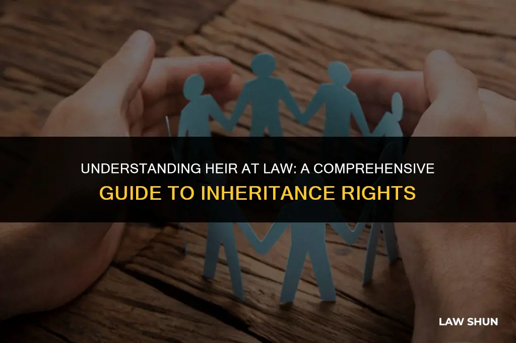 Understanding Heir At Law: A Comprehensive Guide To Inheritance Rights ...