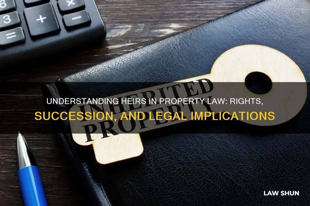 Understanding Heirs In Property Law: Rights, Succession, And Legal ...