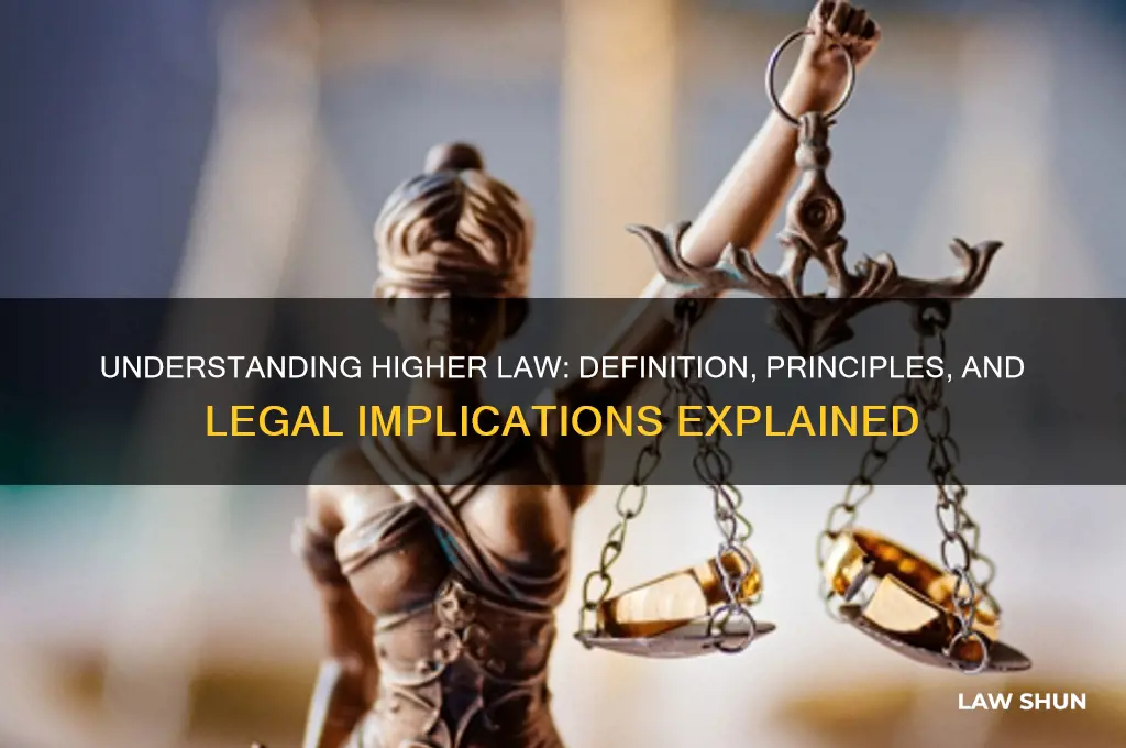 Understanding Higher Law: Definition, Principles, And Legal ...