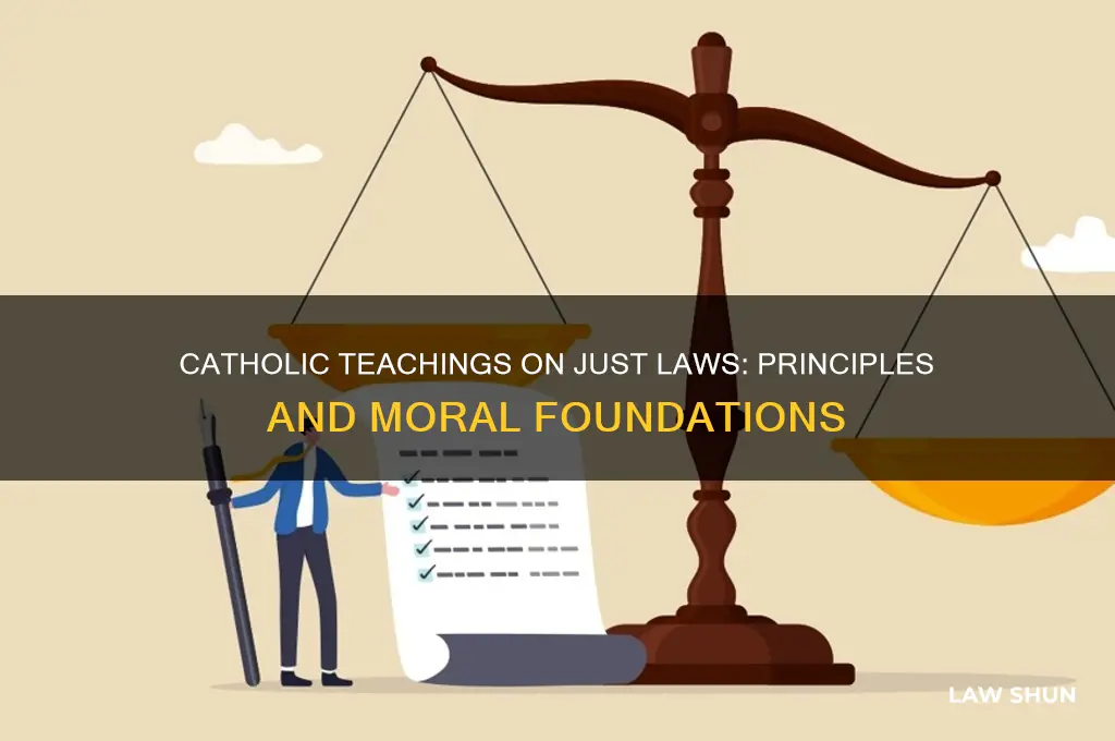 Catholic Teachings On Just Laws: Principles And Moral Foundations | LawShun