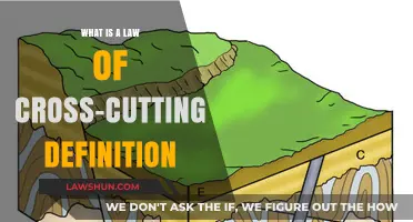 Understanding Per Se Laws: Definition, Examples, And Legal Implications ...