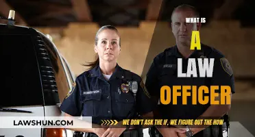Understanding The Role Of A Principal Officer In Constitutional Law ...