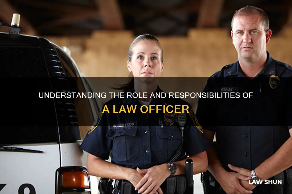 Understanding The Role And Responsibilities Of A Law Officer | LawShun