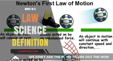 Understanding Slander Law: Definition, Consequences, And Legal ...