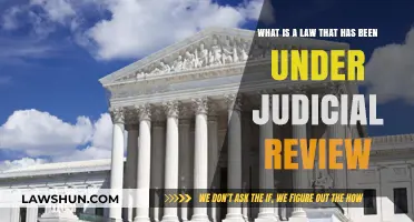 Understanding Legal Reviews: Key Concepts And Their Role In Law | LawShun