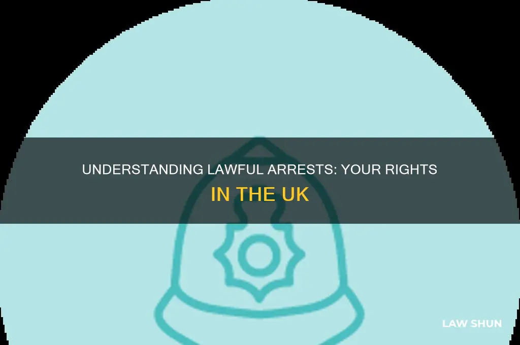 Understanding Lawful Arrests: Your Rights In The Uk | LawShun