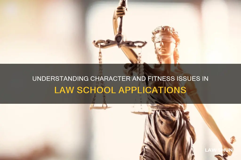 Understanding Character And Fitness Issues In Law School Applications ...