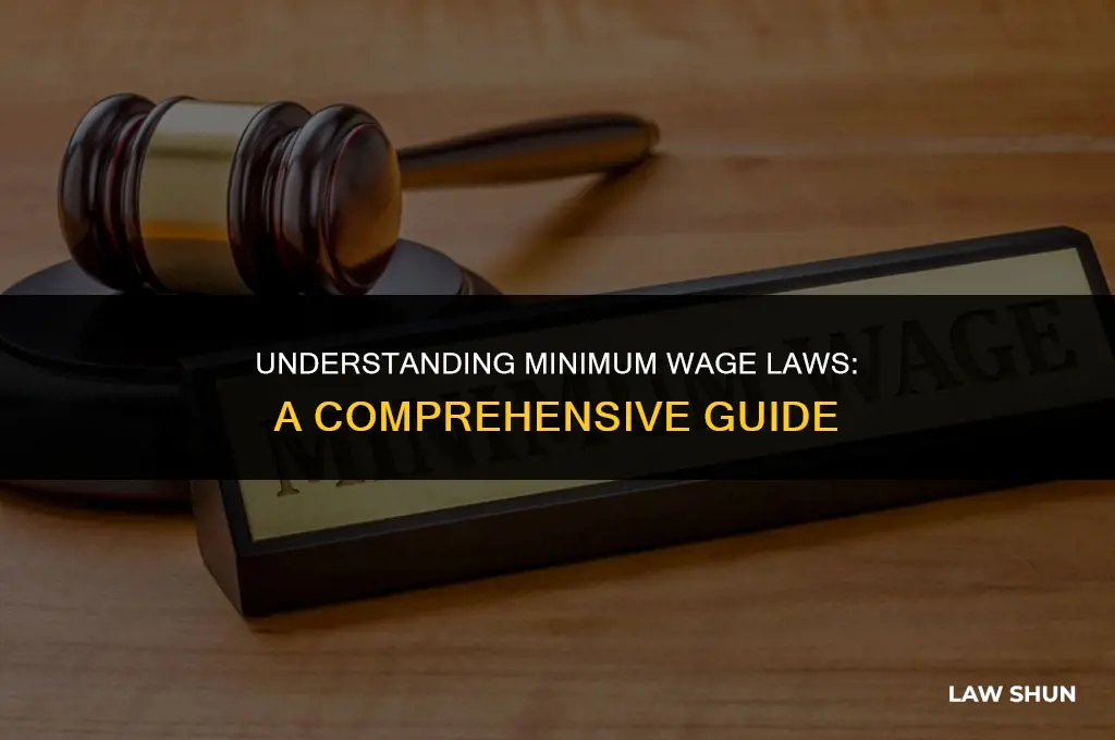 Understanding Minimum Wage Laws: A Comprehensive Guide | LawShun