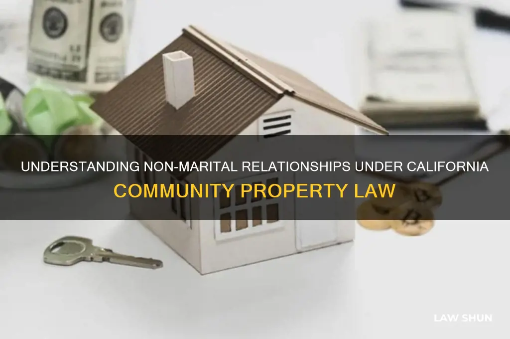 Understanding Non-Marital Relationships Under California Community ...