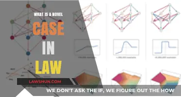No Case To Answer: Understanding Legal Defense Strategy | LawShun