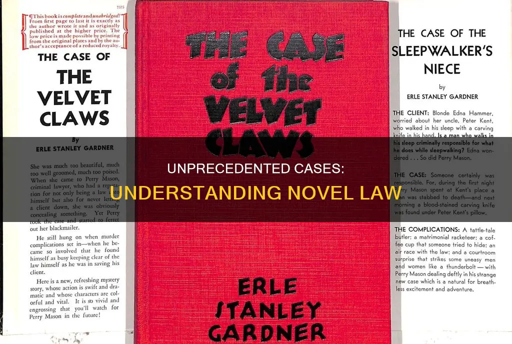 Unprecedented Cases: Understanding Novel Law | LawShun