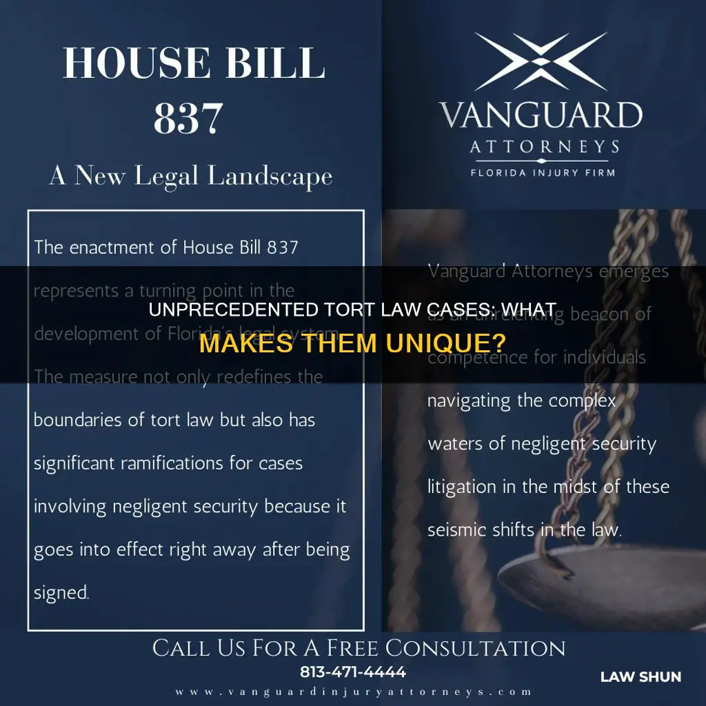 Unprecedented Tort Law Cases: What Makes Them Unique? | LawShun