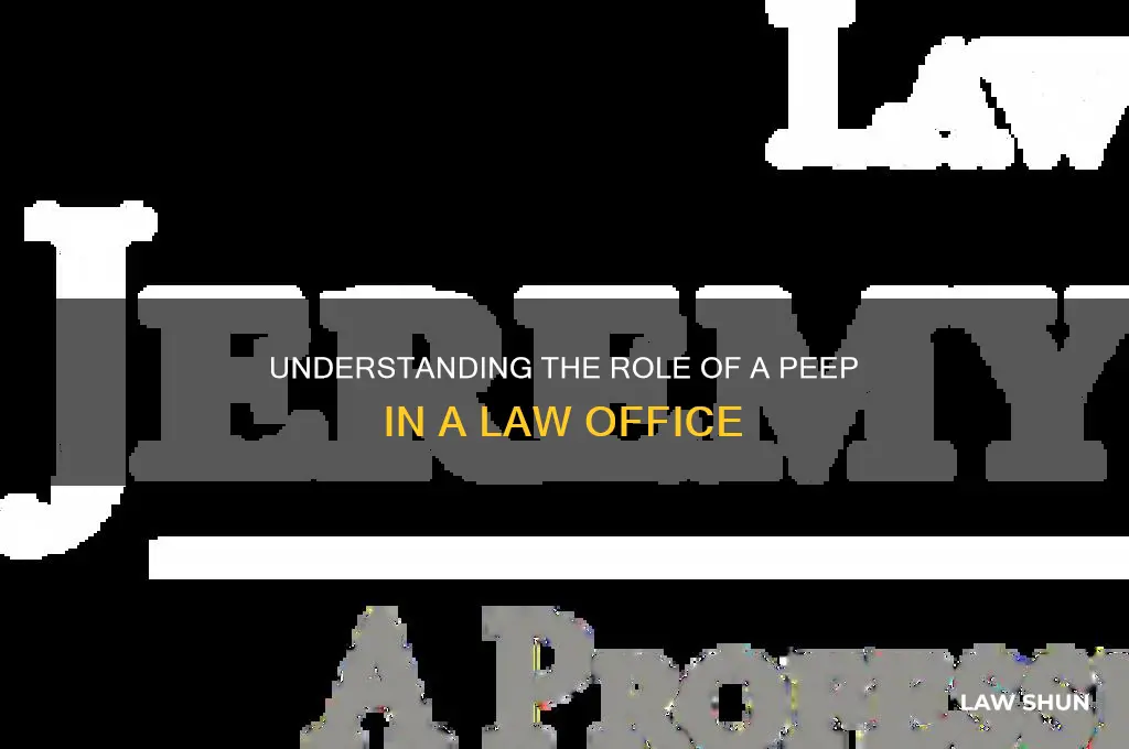 Understanding The Role Of A Peep In A Law Office | LawShun