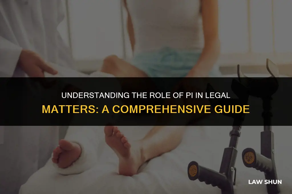 Understanding The Role Of Pi In Legal Matters: A Comprehensive Guide ...