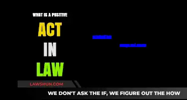 Understanding Overt Acts: Legal Definition And Implications Explained ...