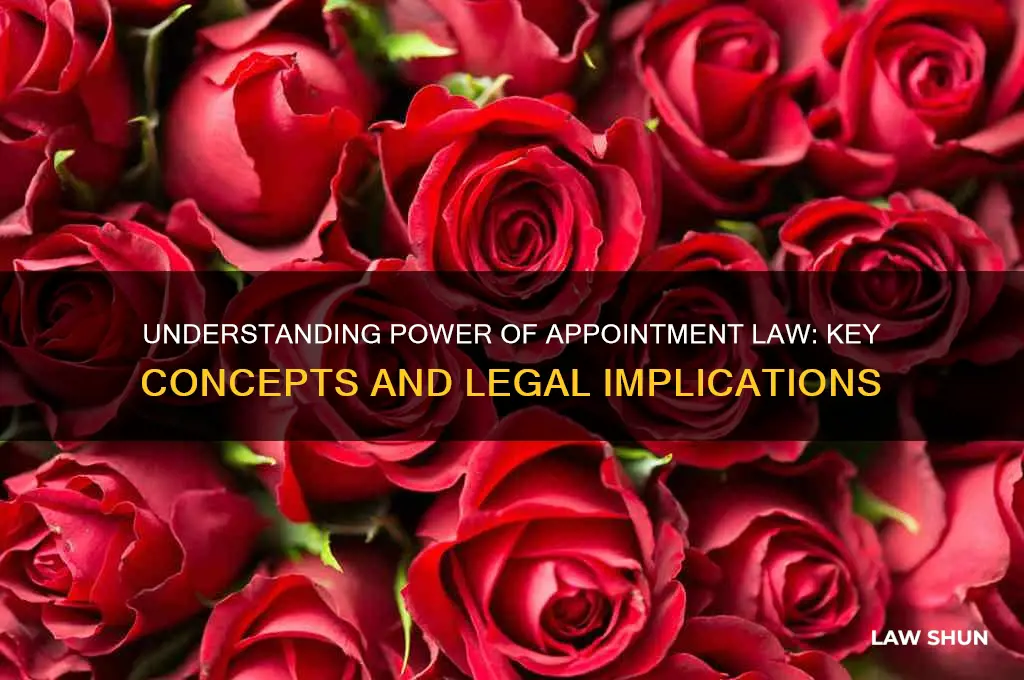 Understanding Power Of Appointment Law: Key Concepts And Legal ...
