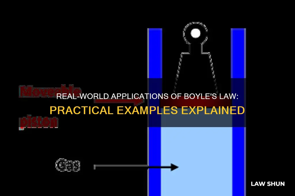 Real-World Applications Of Boyle's Law: Practical Examples Explained ...