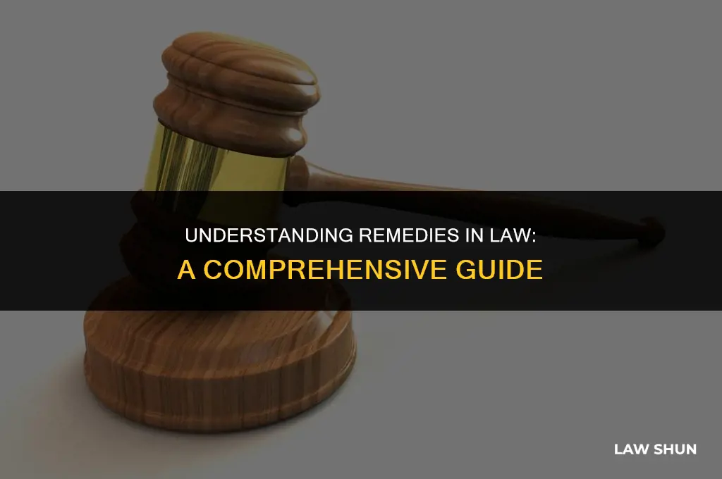 Understanding Remedies In Law: A Comprehensive Guide | LawShun