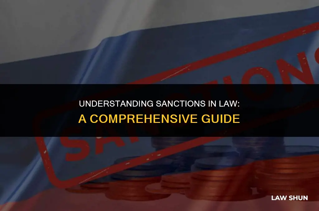 Understanding Sanctions In Law: A Comprehensive Guide | LawShun