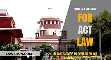 Understanding Overt Acts: Legal Definition And Implications Explained ...