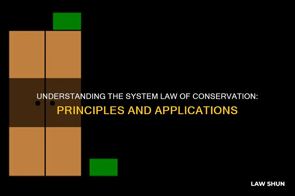 Understanding The System Law Of Conservation: Principles And ...