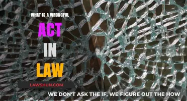 Understanding Overt Acts: Legal Definition And Implications Explained ...