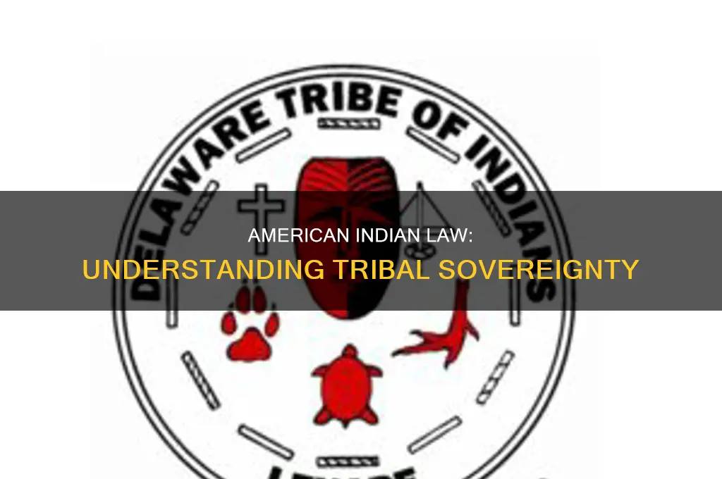 American Indian Law: Understanding Tribal Sovereignty | LawShun