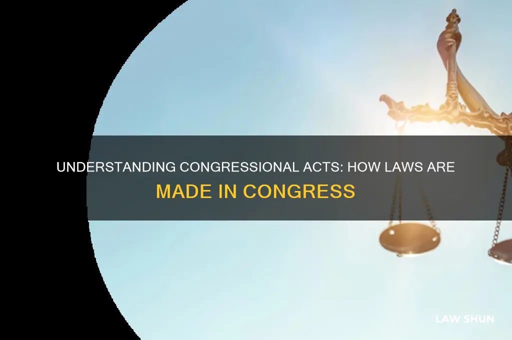 Understanding Congressional Acts: How Laws Are Made In Congress | LawShun