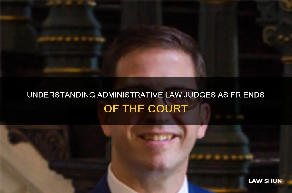 Understanding Administrative Law Judges As Friends Of The Court | LawShun