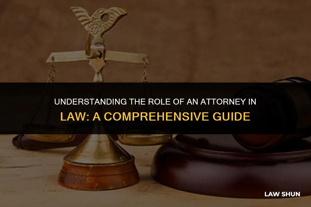Understanding The Role Of An Attorney In Law: A Comprehensive Guide ...