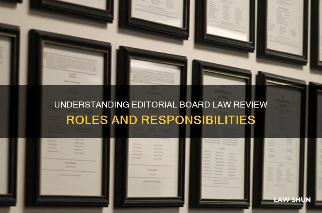 Understanding Editorial Board Law Review Roles And Responsibilities ...