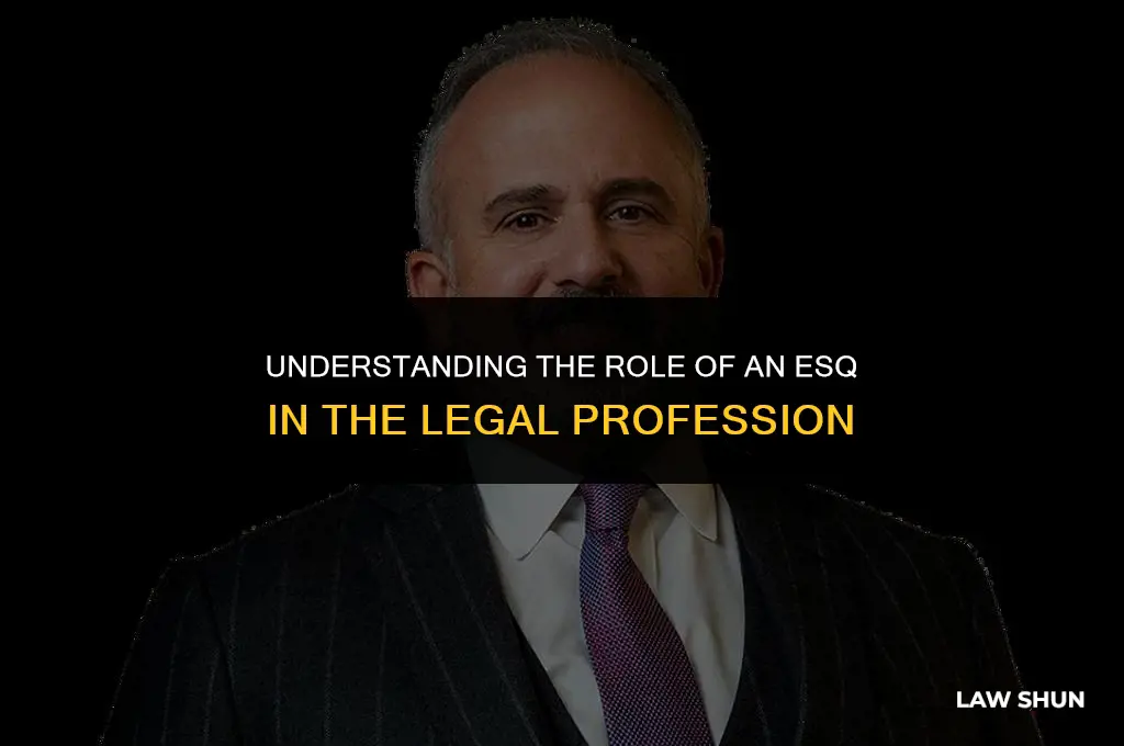 Understanding The Role Of An Esq In The Legal Profession | LawShun