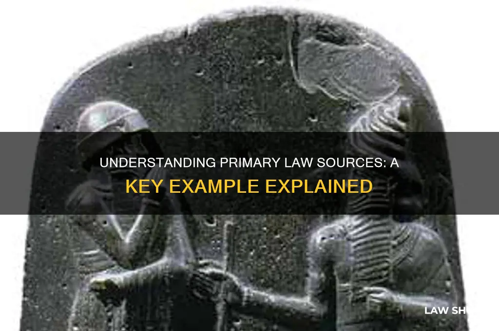 Understanding Primary Law Sources: A Key Example Explained | LawShun
