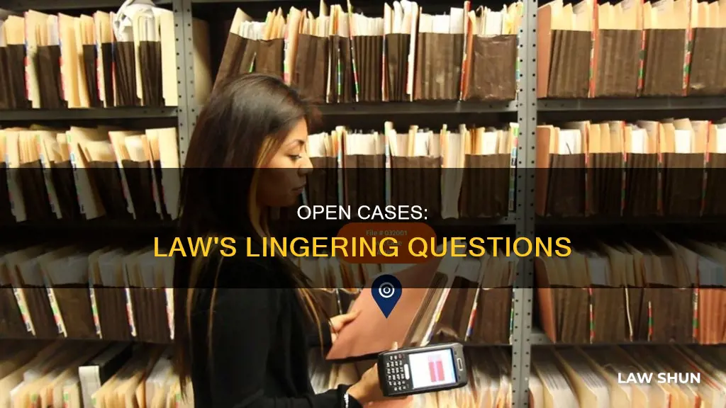 Open Cases: Law's Lingering Questions | LawShun