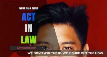 Understanding The Difference: Bills, Acts, And Laws Explained Simply ...
