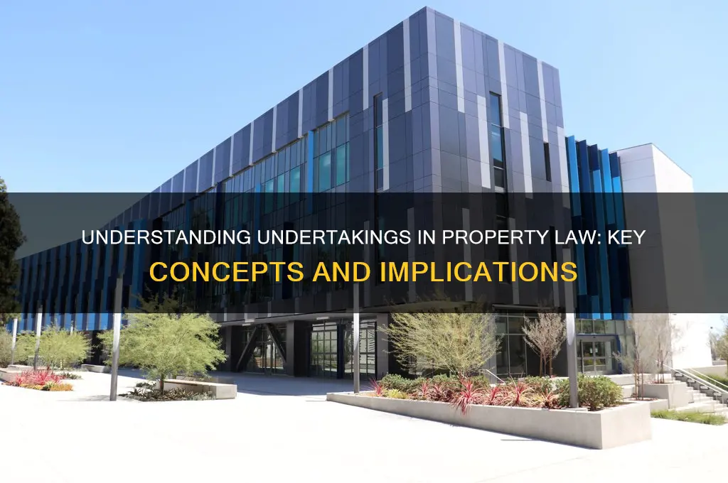 Understanding Undertakings In Property Law: Key Concepts And ...