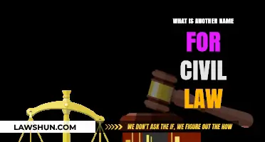 Understanding Civil Contempt: Legal Consequences And Court Enforcement ...