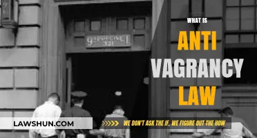 Understanding Anti-Subversion Laws: Purpose, Impact, And Legal ...