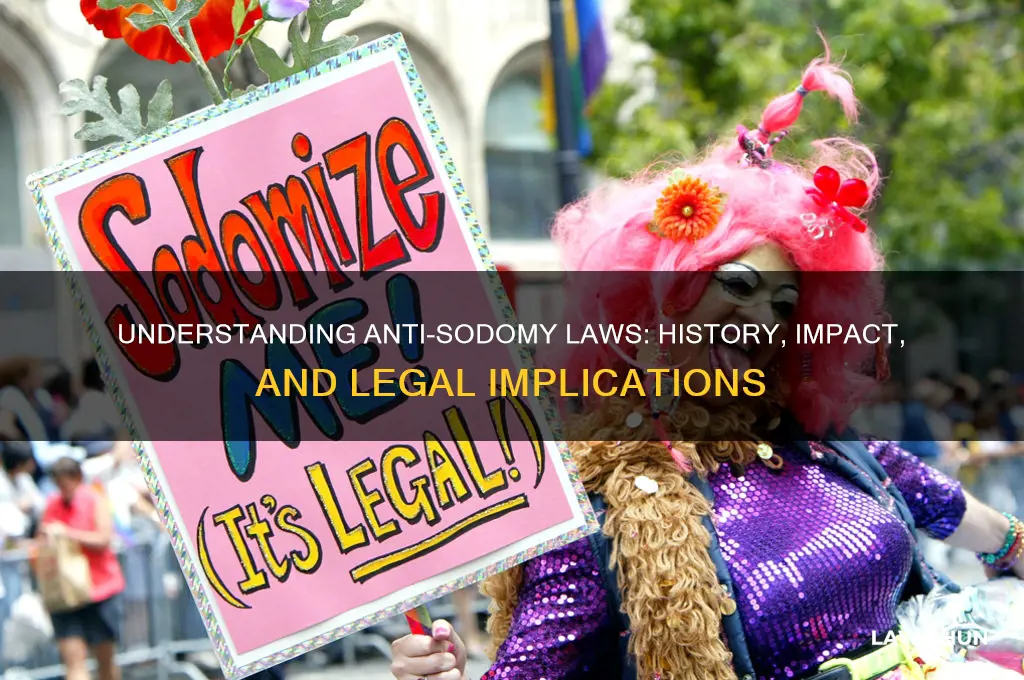 Understanding Anti-Sodomy Laws: History, Impact, And Legal Implications ...